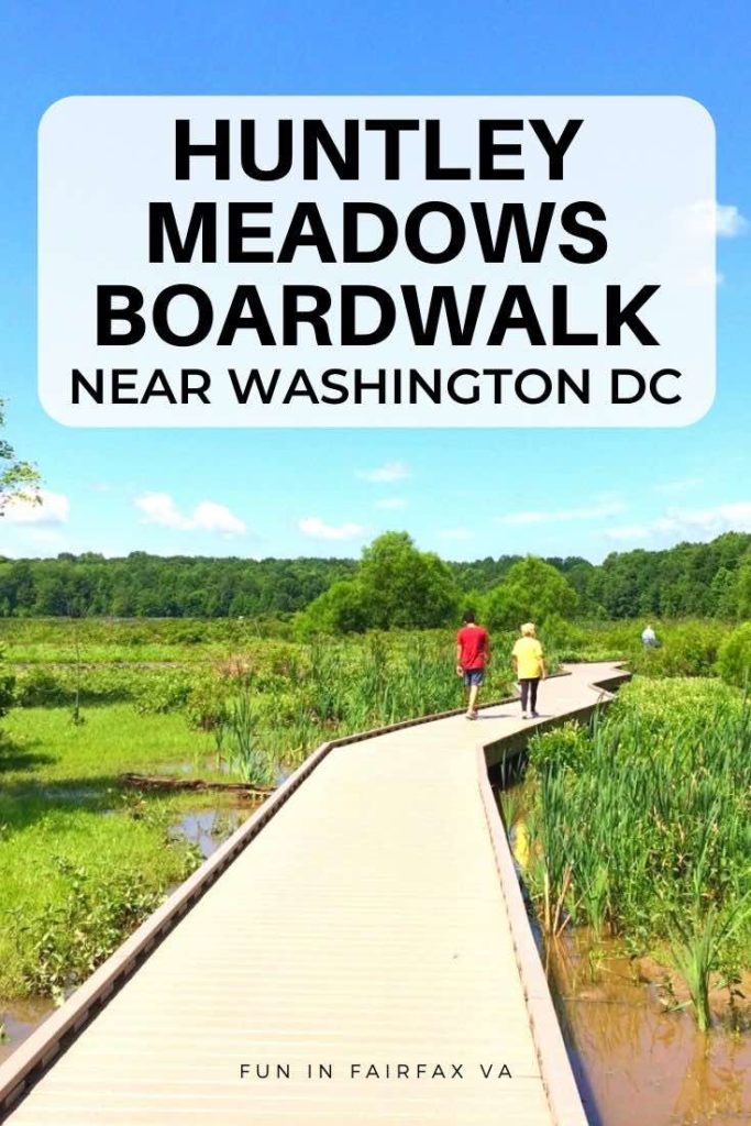 Huntley Meadows Park Wetlands and Boardwalk Trail in Northern VA