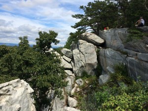 Bull Run Mountain and Winery at La Grange - FuninFairfaxVA