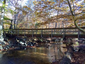 21 Fun Family-Friendly Parks with Trails in Northern Virginia