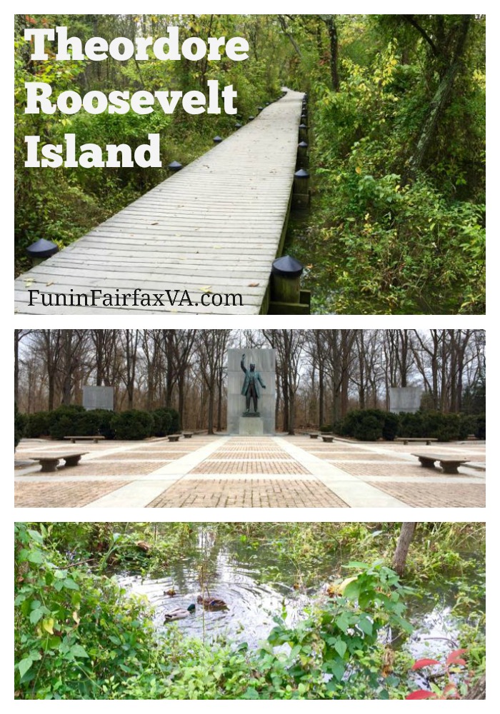 Explore the Surprises of a Theodore Roosevelt Island Hike