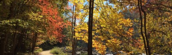 Difficult Run Hike to the Potomac River on the Fairfax Cross County Trail