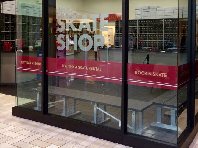 5 Fun Northern Virginia Ice Skating Rinks - Fun in Fairfax VA