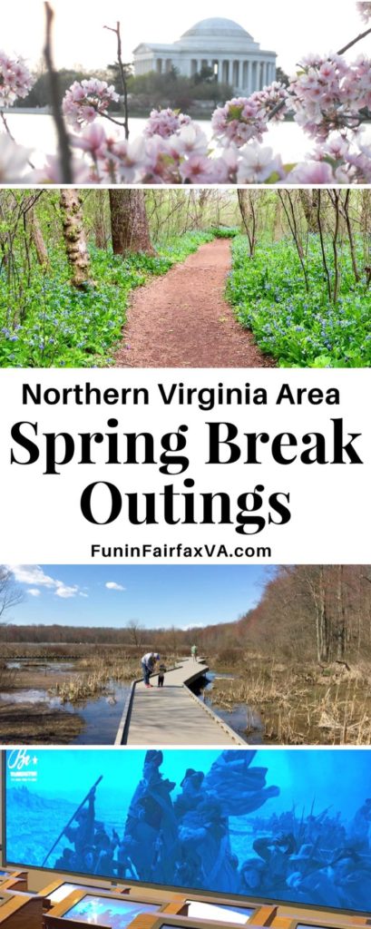 Fun Spring Break Outings in the Northern Virginia Area