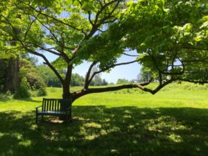 River Farm Garden a Hidden Gem in Alexandria Virginia