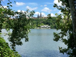 Windy Run Hike: A Potomac River Escape Near Washington DC