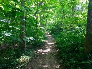 Windy Run Hike: A Potomac River Escape Near Washington DC