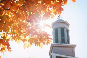 15+ Fantastic Ways to Celebrate Fall in Northern Virginia
