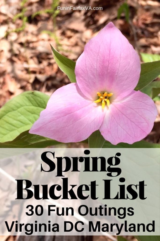 30 Fun Spring Bucket List Adventures in Virginia DC Maryland