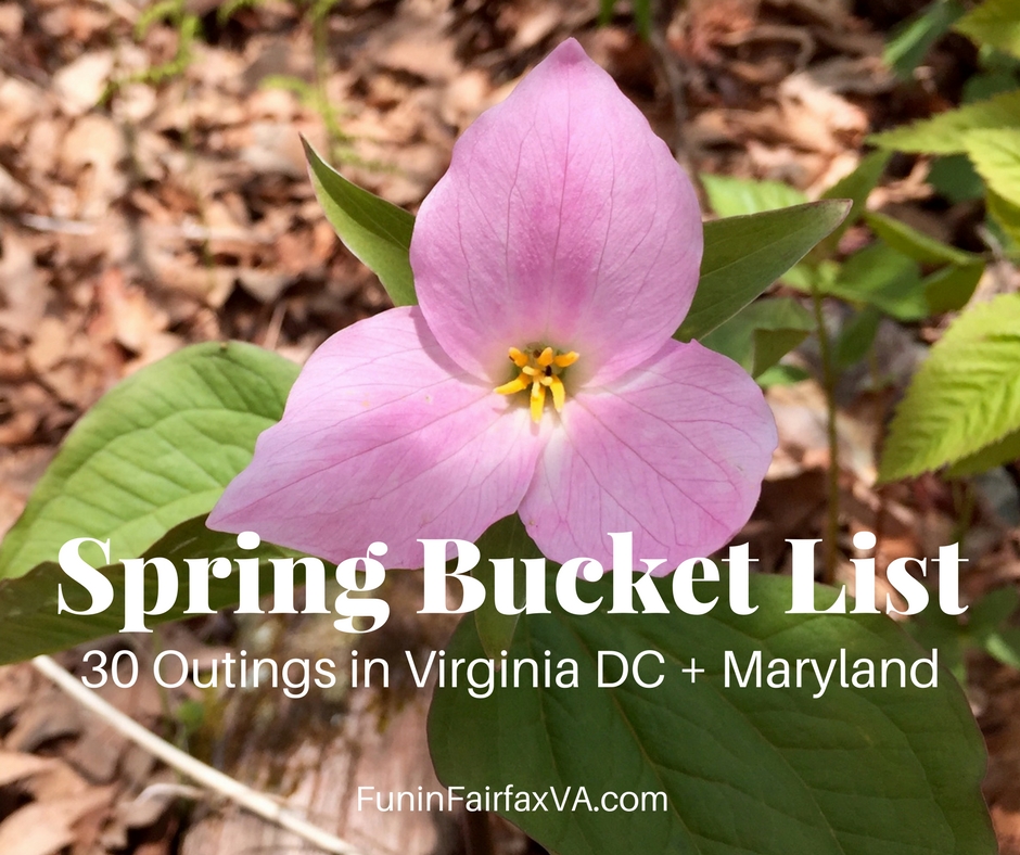 30 Fun Spring Bucket List Adventures in Virginia DC Maryland