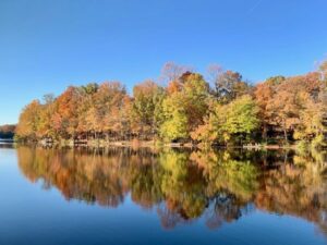 Fall Foliage in Northern Virginia: Best Fall Colors Near DC