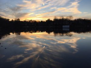 Lake Thoreau Loop Trail in Reston Virginia - Fun in Fairfax VA