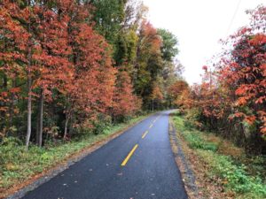 Locals Guide: 10+ Best Things to Do in Reston Virginia