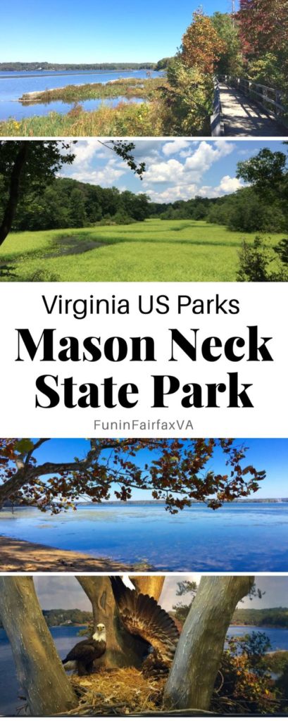 Beautiful Mason Neck State Park Outdoor Fun in Northern Virginia
