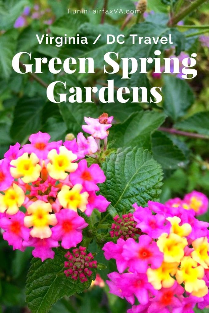 Green Spring Gardens: An Oasis of Beauty and History