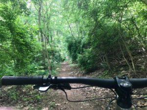 Fun Outdoor Activities in Roanoke and Virginia's Blue Ridge