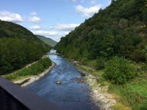 Beautiful Potomac Eagle Scenic Railroad Trip in West Virginia