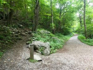 Beautiful Rose River Loop Hike: Shenandoah National Park Waterfalls