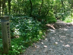 Beautiful Rose River Loop Hike: Shenandoah National Park Waterfalls