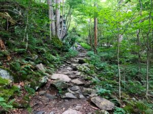 Beautiful Rose River Loop Hike: Shenandoah National Park Waterfalls