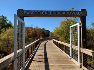 Neabsco Creek Boardwalk Trail Hike in Northern Virginia