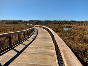 Neabsco Creek Boardwalk Trail Hike in Northern Virginia