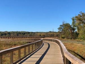 Neabsco Creek Boardwalk Trail Hike in Northern Virginia