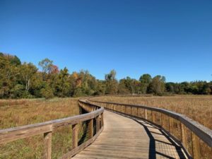 Neabsco Creek Boardwalk Trail Hike in Northern Virginia