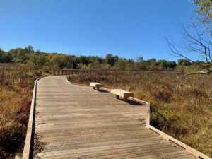 Neabsco Creek Boardwalk Trail Hike in Northern Virginia