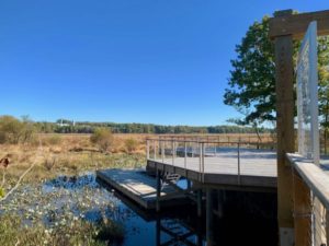 Neabsco Creek Boardwalk Trail Hike in Northern Virginia