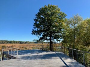 Neabsco Creek Boardwalk Trail Hike in Northern Virginia