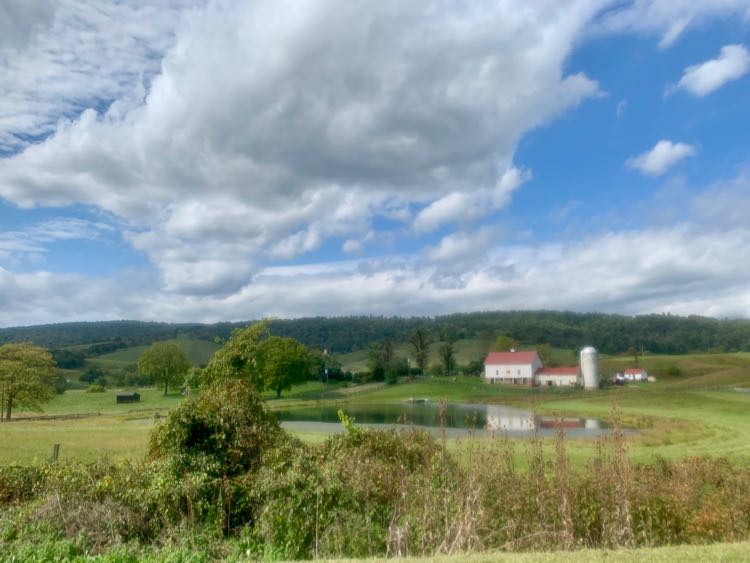 Blog - Fun in Fairfax VA