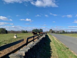 Beautiful Hunt Country Scenic Drive in Northern Virginia