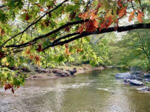 16 Fantastic Fall Hikes in Northern Virginia - Fun in Fairfax VA