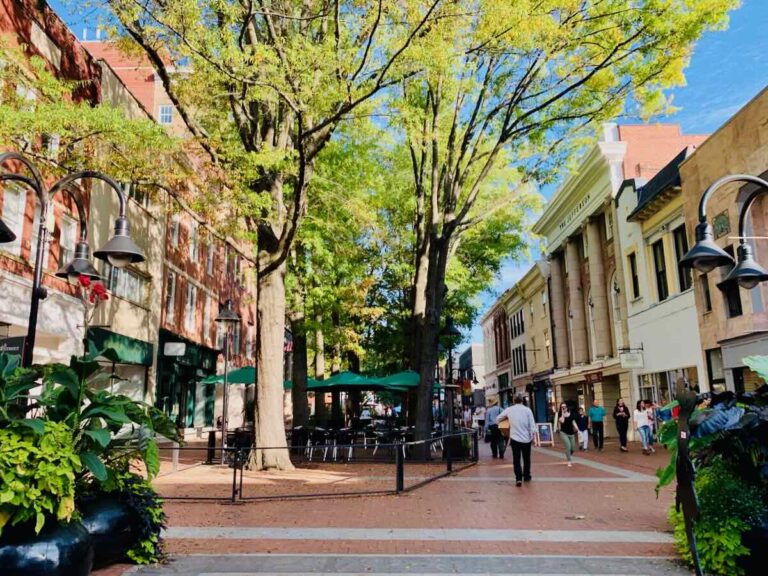 Fun and Unique Things to Do in Charlottesville Virginia