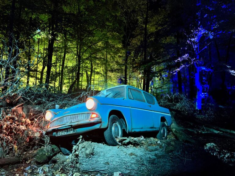 A Magical Harry Potter Forbidden Forest 2024 in Leesburg VA