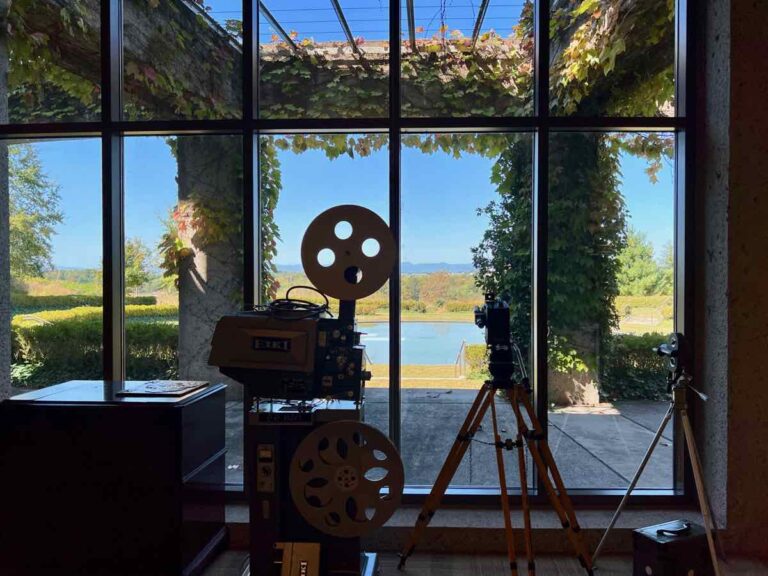 30+ Fantastic Things to Do in Culpeper Virginia