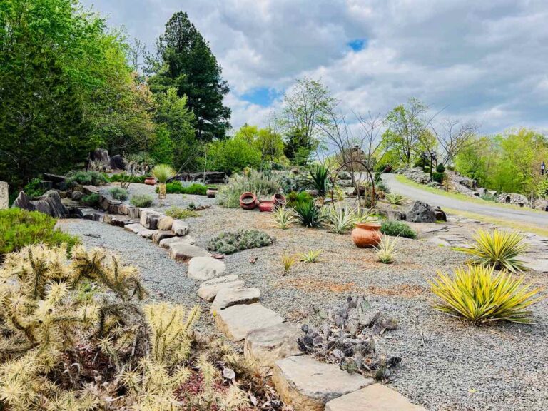 Visit the New Unique National Botanic Garden in Virginia