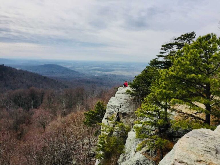 21 Best Hikes in Northern Virginia for All Skill Levels