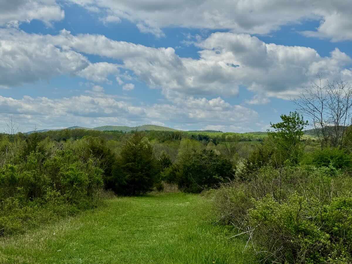 An Easy Gilberts Corner Park Hike in Leesburg VA