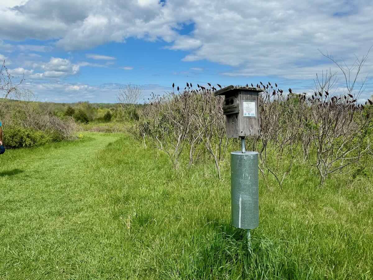 An Easy Gilberts Corner Park Hike in Leesburg VA